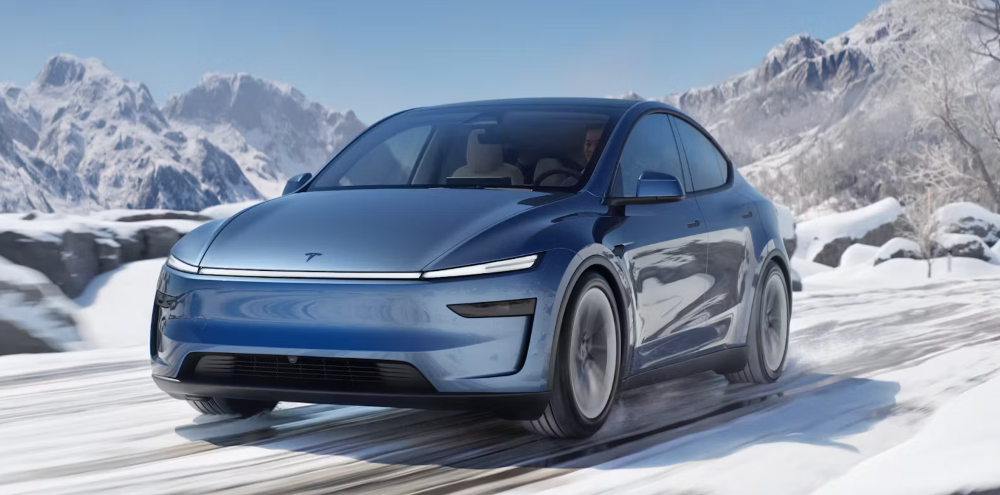 Updated model y store