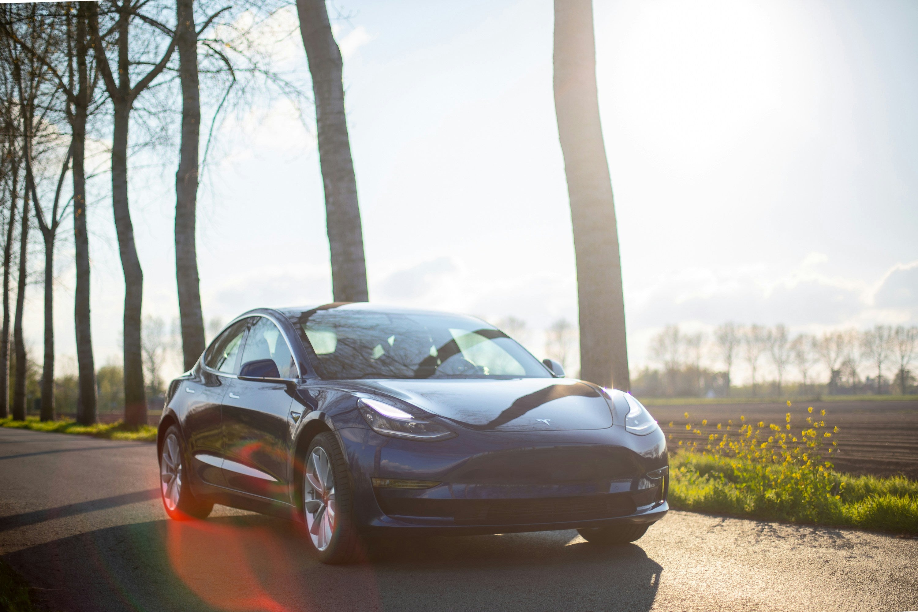 The Best Accessories of Summer 2024 for Tesla: Ultimate Car Sun ...