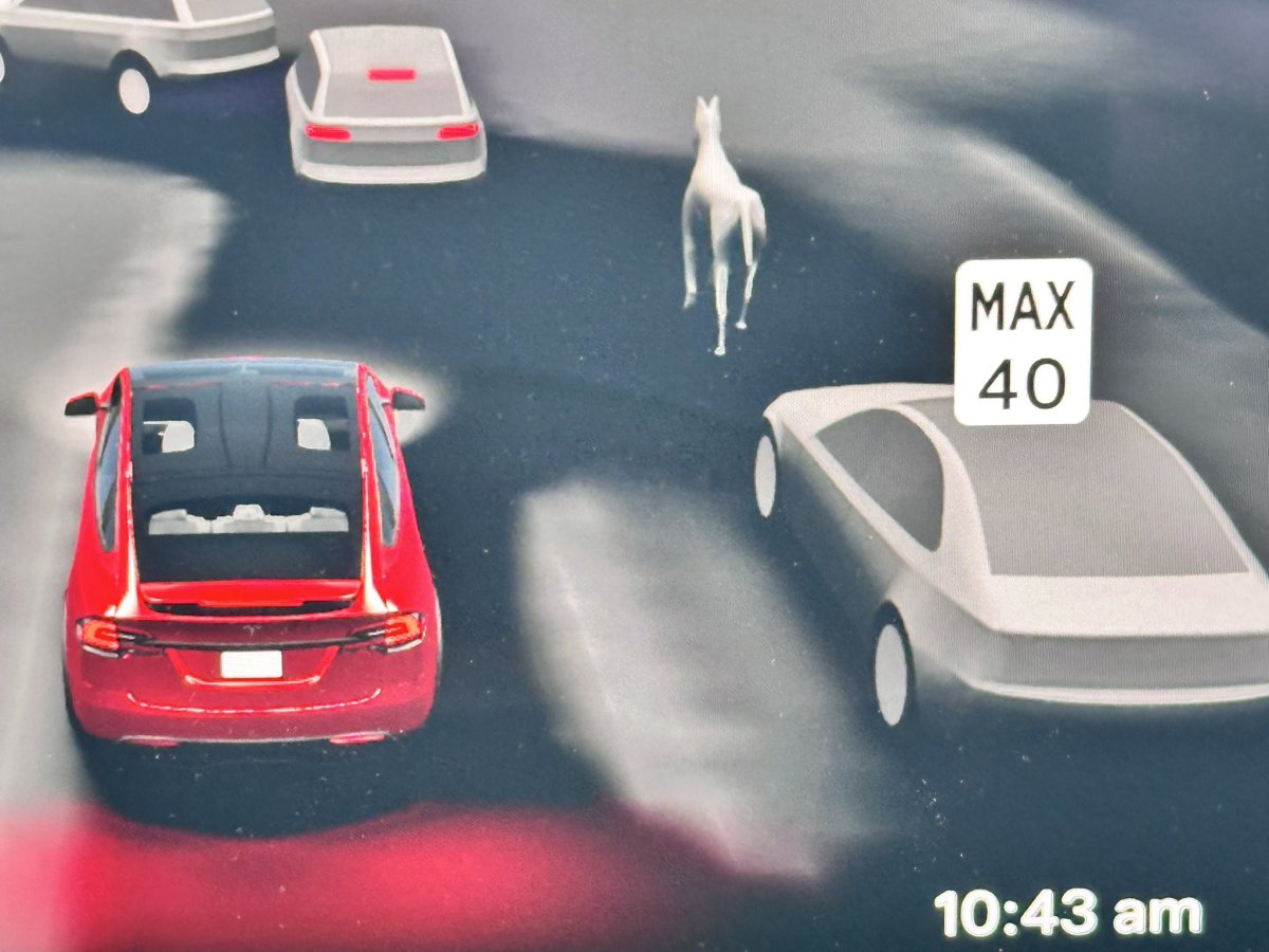 Tesla Adds Horses to FSD Visualization – Hub
